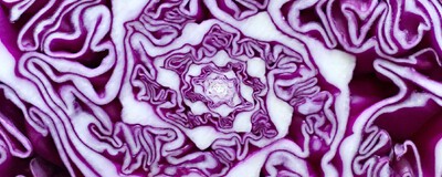 AMANDA GHASSAEI: APPS