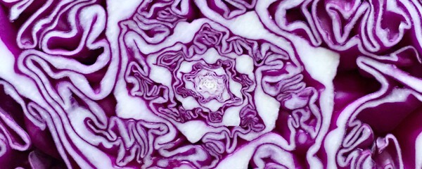 AMANDA GHASSAEI: APPS