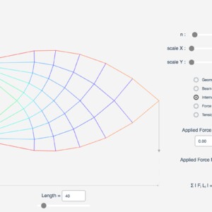 AMANDA GHASSAEI: HOME