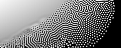 AMANDA GHASSAEI: APPS