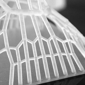 AMANDA GHASSAEI: HOME